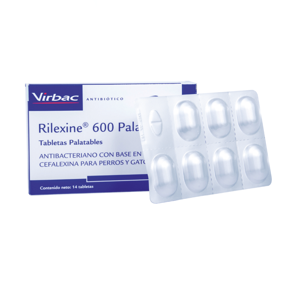 Rilexine 300 2 Bl (Cefalexina) - Animals Veterinaria - Tu tienda de ...